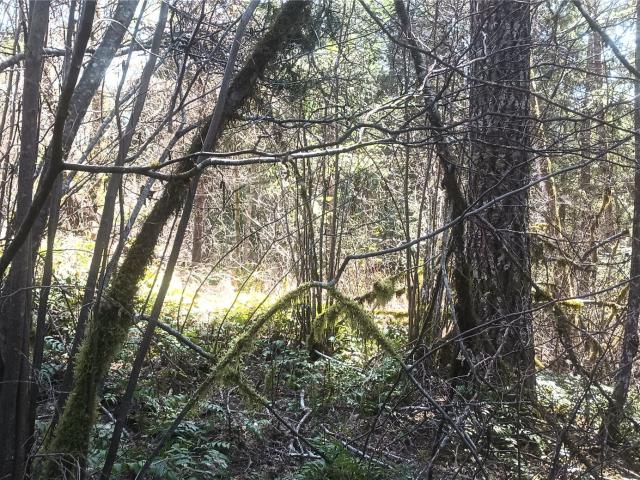 0 Lot 26 Terrace Way