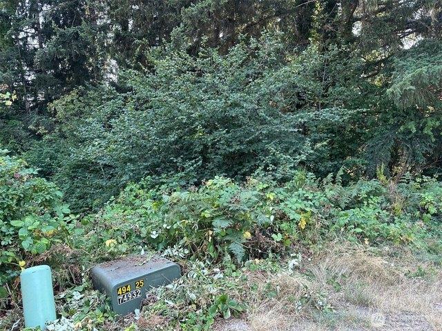 0 Lot 28 Ne Wanda Ct Lot 28, Belfair, WA 98528