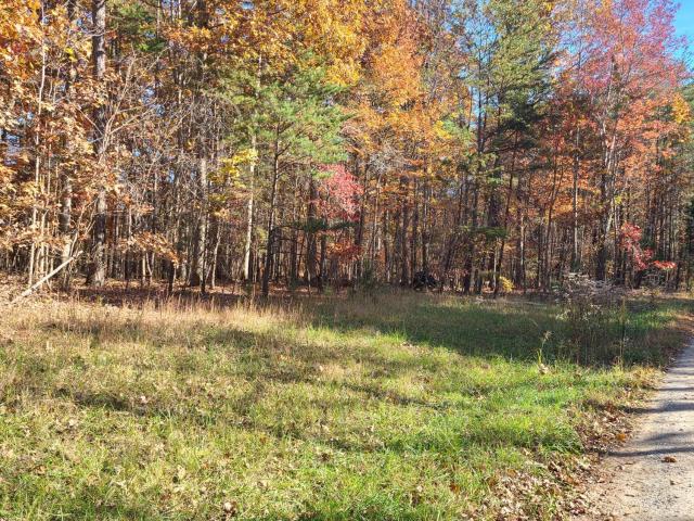 0 Lot 29 Ashwell Ridge Drive