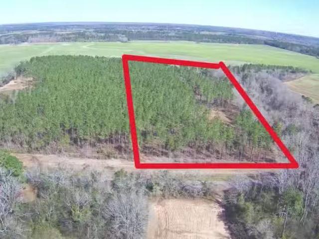 0 LOT 2 OZARK RD. NEWVILLE, AL 36353 Vacant Land For Sale MLS.