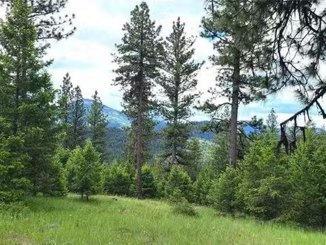 0 Lot 2 Old Kettle Falls Road, Republic, WA 99166 MLS# 2259957