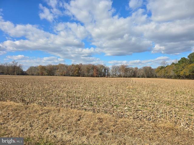 0 Lot 2 Poplar Neck Road
