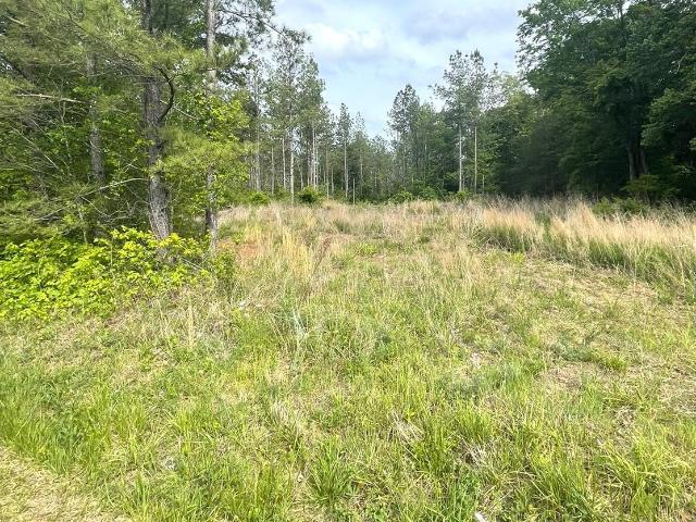 0 Lot 2D Three Creeks Road
