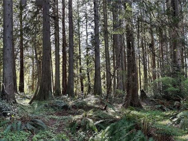 0 Lot 31 Nw Lakeness Lot 31, Poulsbo, WA 98370