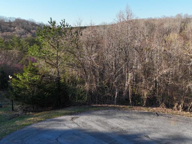 0 Lot 32 Crestview Lane