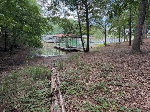 0 LOT 3 Reed Creek Point