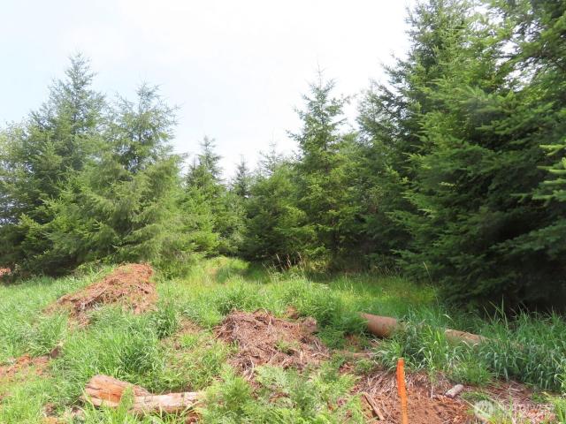 0 Lot C Mill Creek Lane