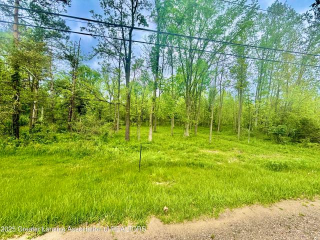 0 Lot C Willow