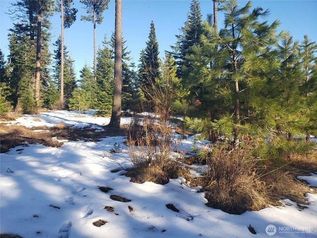 0 Lot F R & Heights Dr Lot F, Roslyn, WA 98941