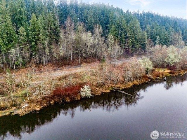 0 Lots 3 & 4, 3 and 4 Orville Rd E, Eatonville, WA 98328