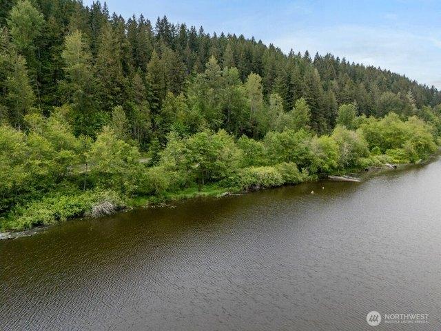 0 Lots 3 & 4, 3 and 4 Orville Rd E, Eatonville, WA 98328