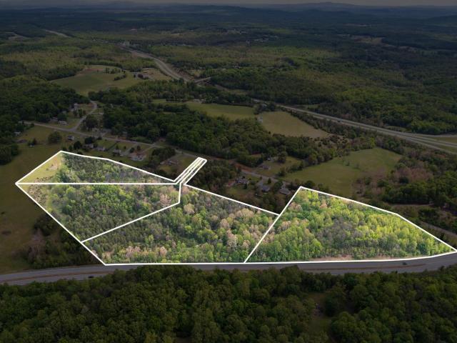 0 Lots 1 4 Dixie Airport