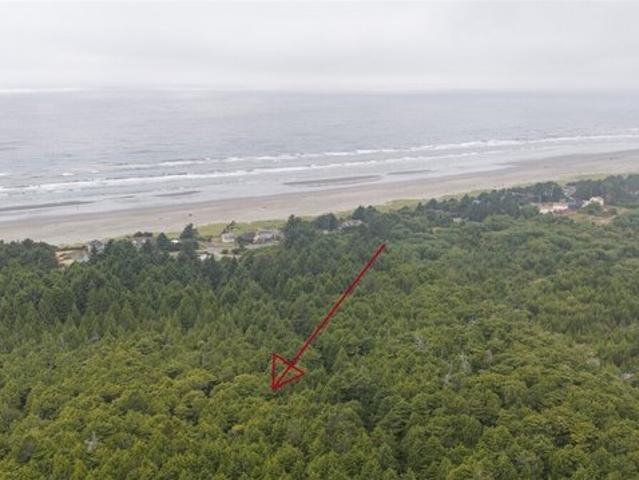 0 Lots 1 3 Lincoln and Lot 12 Garfield Lot 1 3, Moclips, WA 98562