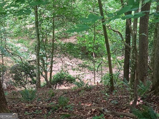 0 Pulliam Mill Road