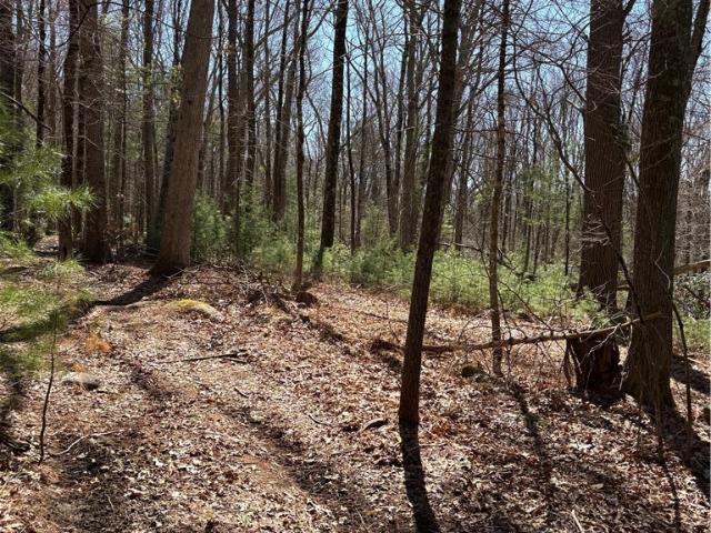 0 Putnam Pike