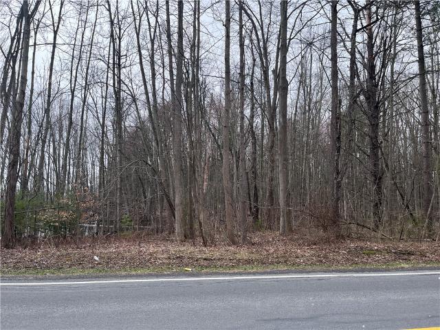 0 Packwood Road