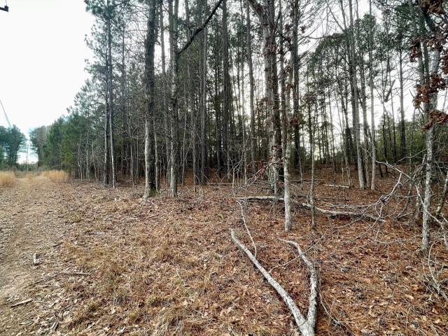 0 Padgett Road LOT 3
