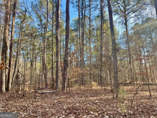 0 Padgett Road LOT 7