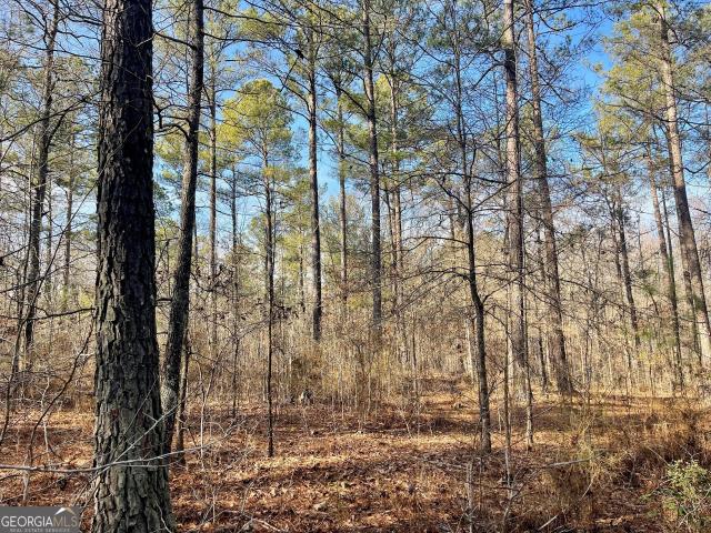 0 padgett road lot 9 fayette padgett 14