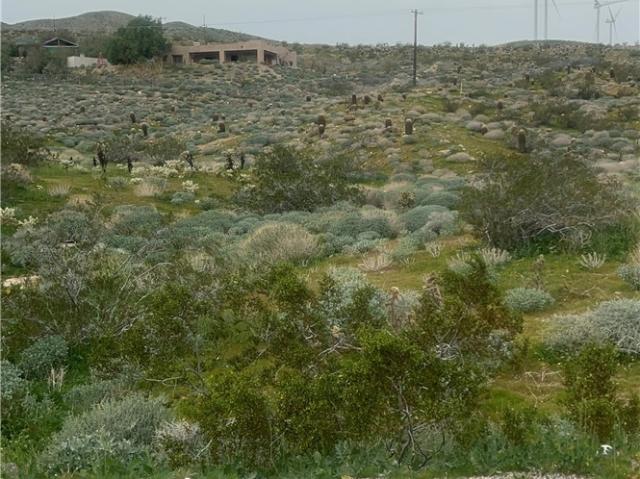 0 Painted Hills Rd, Whitewater, CA 92282 | MLS #IG26060 MR