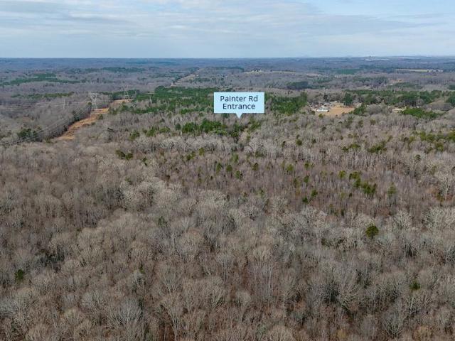 0 Painter Rd, Pelzer, SC 29669 | MLS #1578 | Compass