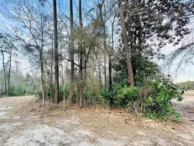 0 PALMETTO POINT, THEODORE, AL 36582 Single Family Residence F.