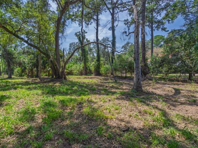 0 Palmetto Road