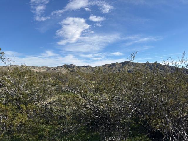 0 Palo Verde