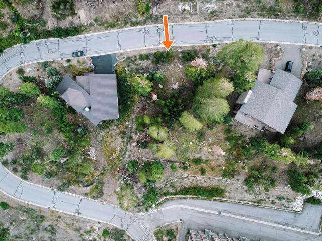 0 Palisades Dr, Kirkwood, CA 95646 | MLS #225141 | Compass