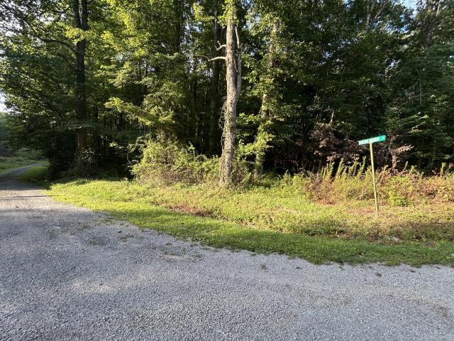 0 Panther Branch Road