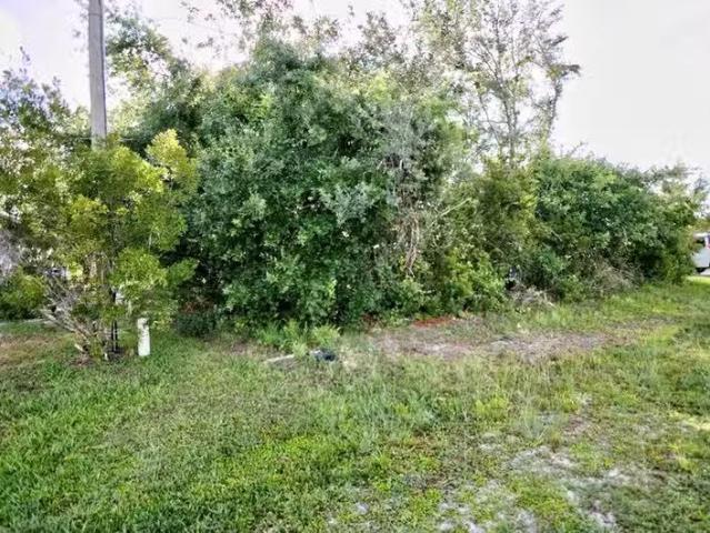 0 Paris Dr, Kissimmee, FL 34759 MLS S5106960