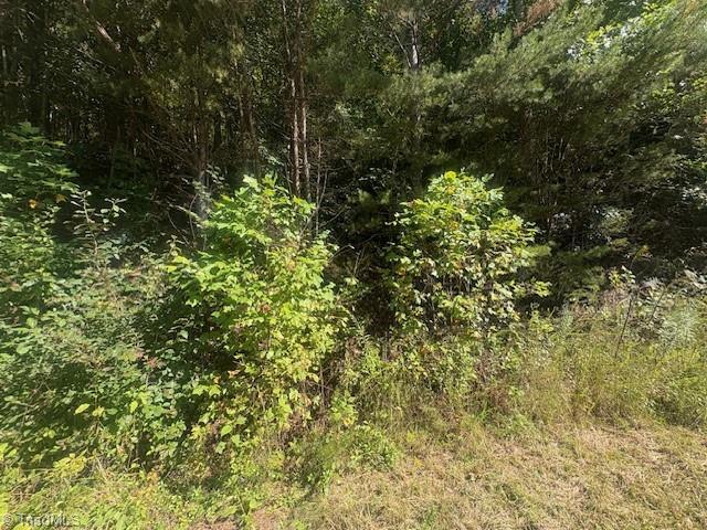 0 Parsonsville Rd, Purlear, NC 28665 | MLS #1205 | Compass