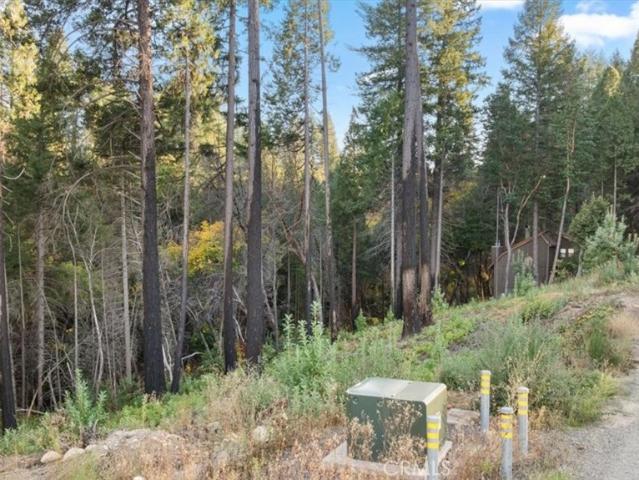 0 Path in the Woods, Berry Creek, CA 95916 | MLS #OR25241 | Compass