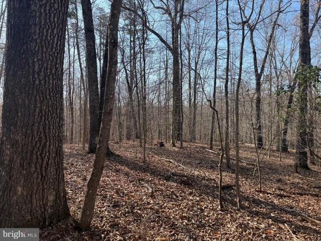 0 Paynes Pond Rd