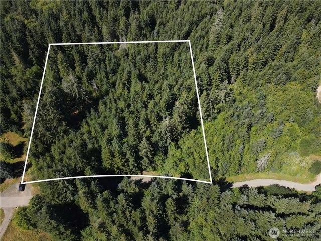0 Pcl 4 E Scarlet Rd, Shelton, WA 98584