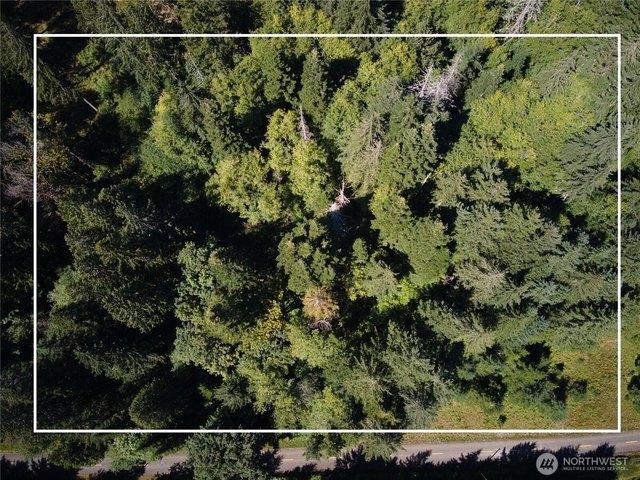 0 Pcl 2 E Scarlet Rd, Shelton, WA 98584
