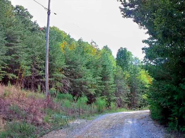 0 Peaceful Lane
