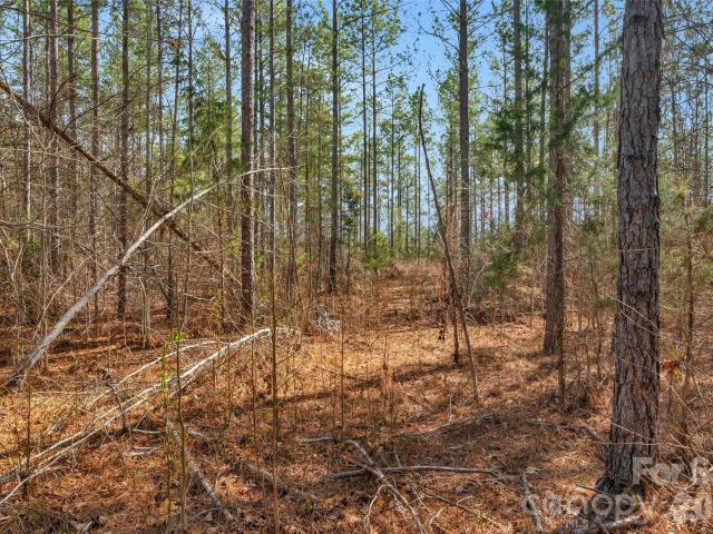 0 Peacehaven Rd, Unit 2, McConnells, SC 29726 | MLS #4364