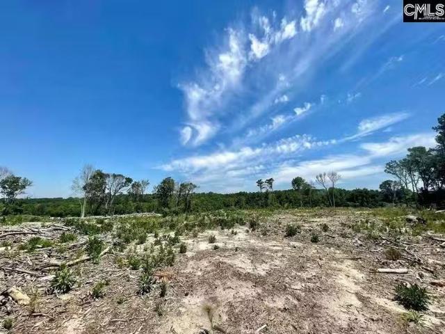 0 Peach Orchard Road, Dalzell, SC 29040 644011857