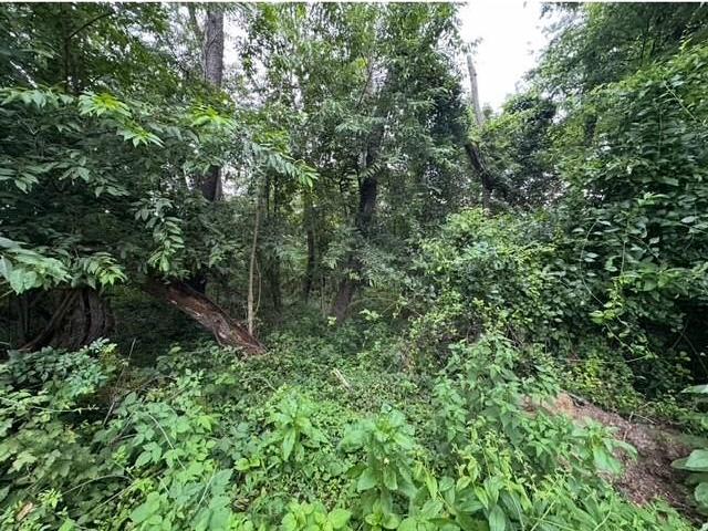 0 Peairs Rd, Elizabeth, PA 15037 | MLS #1715 | Compass
