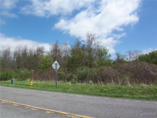 0 Pearl & Wortendyke Rd, Batavia, NY 14020 | MLS #B1605