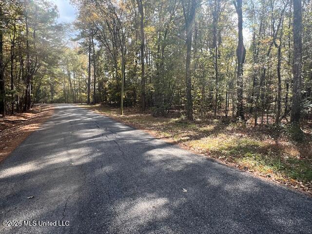 0 Pelahatchie Road