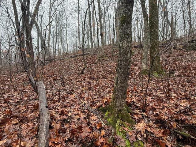 0 Peninsula Trail, New Florence, MO 63363 | MLS #26012