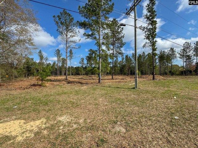 0 Perry Taylor Rd # 396AC, Leesville, SC 29070