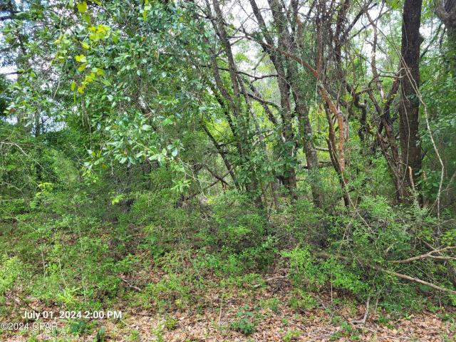 0 Persimmon Ln, Marianna, FL 32448 | MLS #759389 | Compass