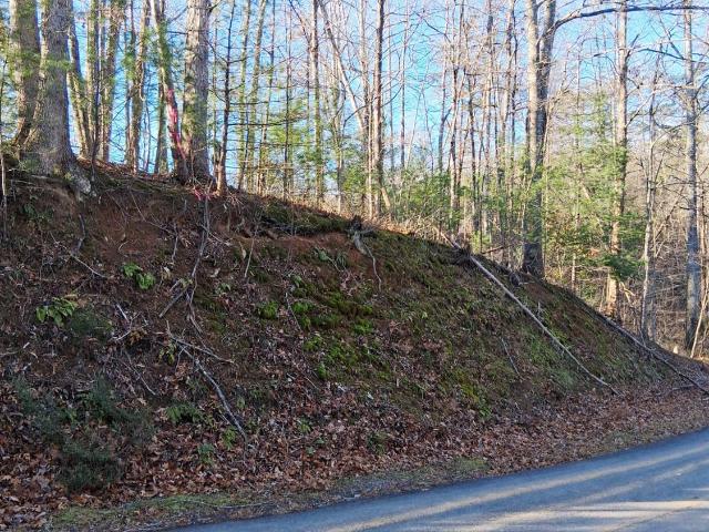 0 Peters Creek Road
