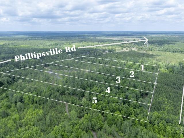 0 Phillipsville Road