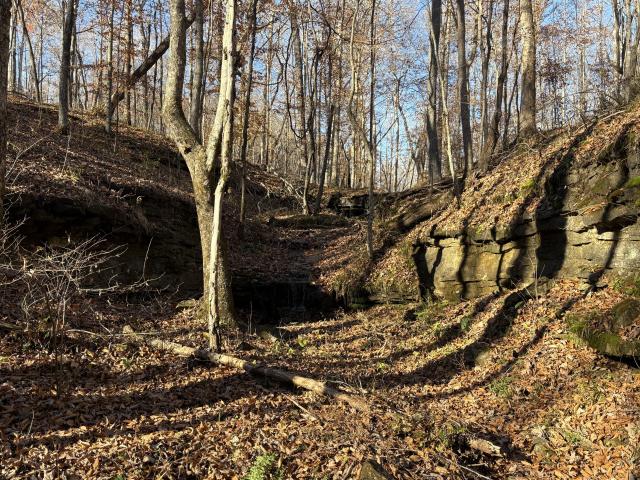 0 Pigpen Hollow Rd