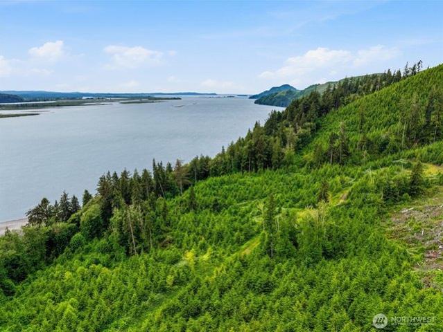 0 Pid 2169 State Route 4 Hwy, Skamokawa, WA 98674