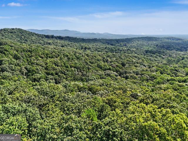 0 Piedmont Mountain Road